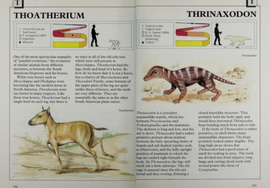 Thoatherium | Dinopedia | Fandom