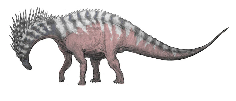 Amargasaurus | Dinopedia | Fandom