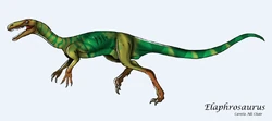 Elaphrosaurus | Dinopedia | Fandom