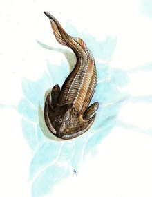 Zenaspis | Dinopedia | Fandom