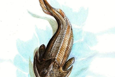 Stylonurus