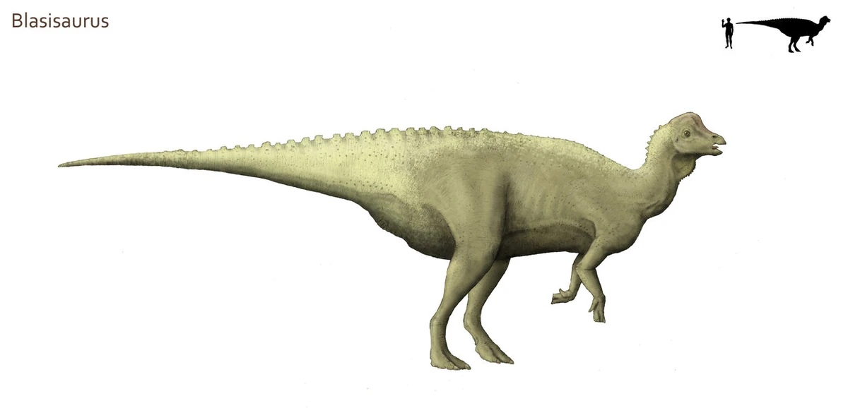 Blasisaurus | Dinopedia | Fandom