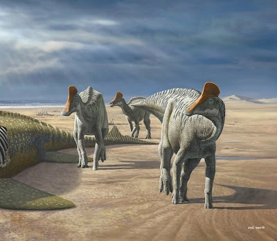 Minqaria | Dinopedia | Fandom