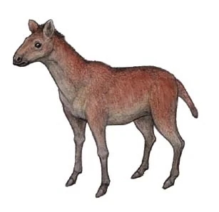 Thoatherium | Dinopedia | Fandom