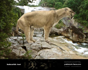 Barbourofelis | Dinopedia | Fandom