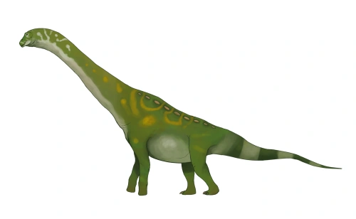 Brasilotitan | Dinopedia | Fandom