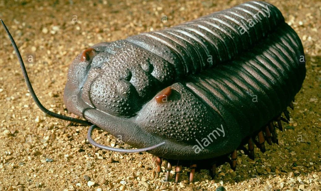 Princeps | Dinopedia | Fandom