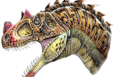 buitreraptor weight