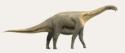 Losillasaurus | Dinopedia | Fandom