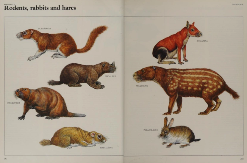 Eocardia | Dinopedia | Fandom