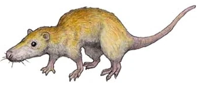 Discuss Everything About Dinopedia | Fandom