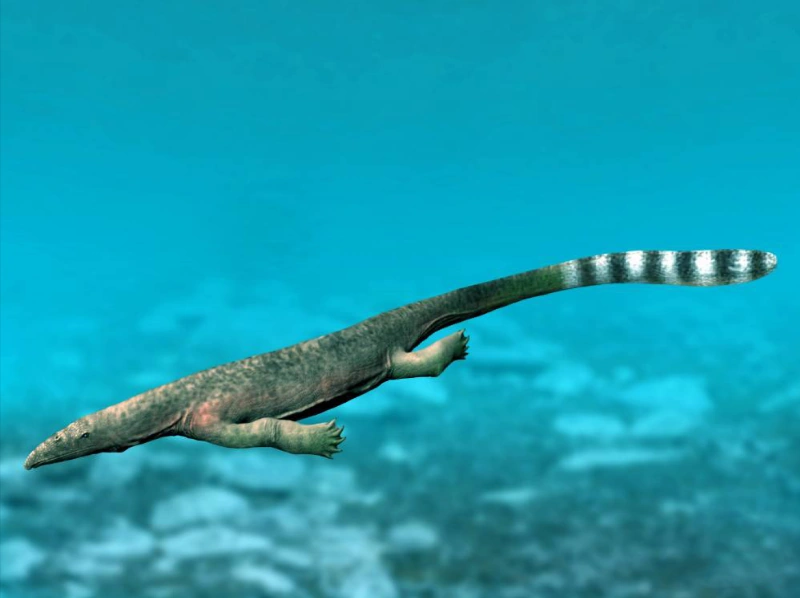 Thalattosaurus | Dinopedia | Fandom