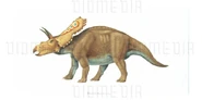 Anchiceratops | Dinopedia | Fandom