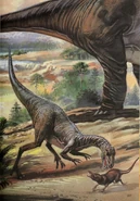 Sinocoelurus | Dinopedia | Fandom