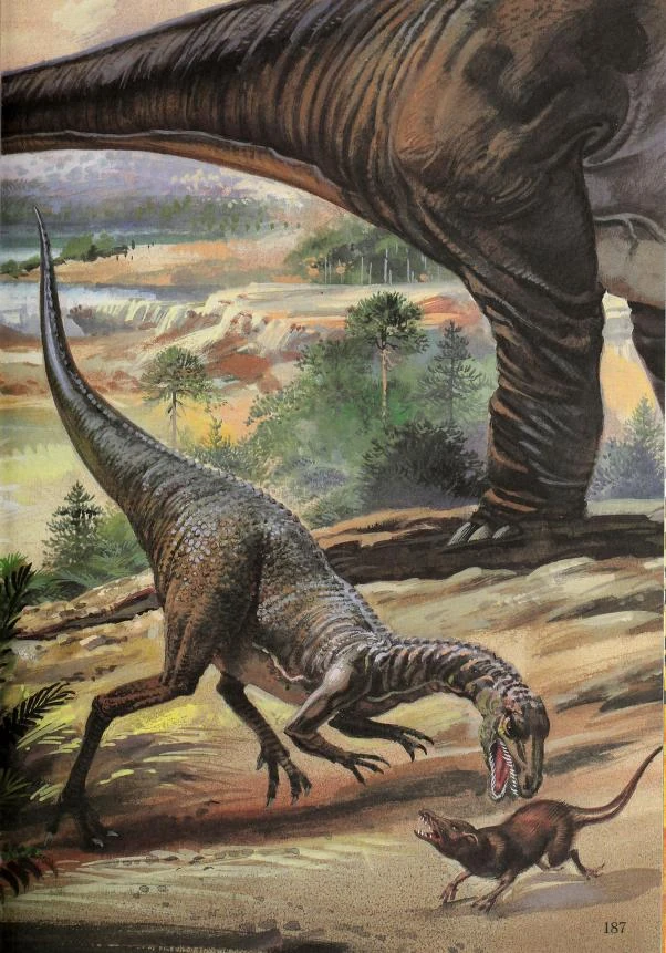 Sinocoelurus | Dinopedia | Fandom