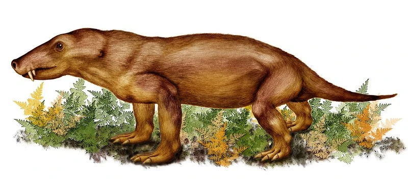 Karenites | Dinopedia | Fandom