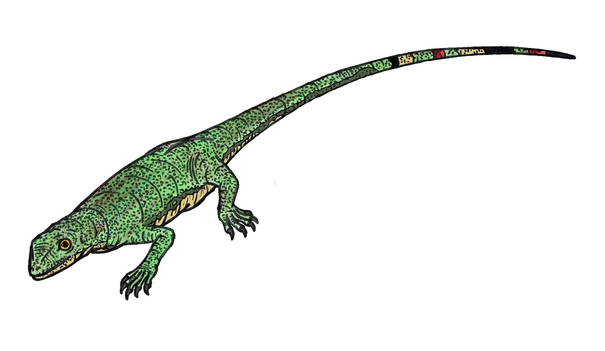 Paleothyris | Dinopedia | Fandom