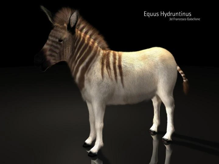 titanus equus