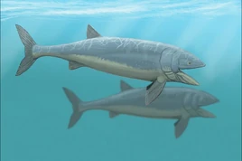 Leedsichthys | Dinopedia | Fandom