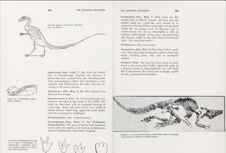Sarcolestes | Dinopedia | Fandom