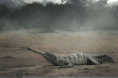 Gryposuchus | Dinopedia | Fandom