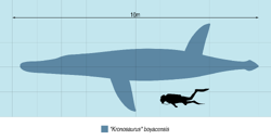 Monquirasaurus | Dinopedia | Fandom