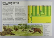 Homotherium | Dinopedia | Fandom