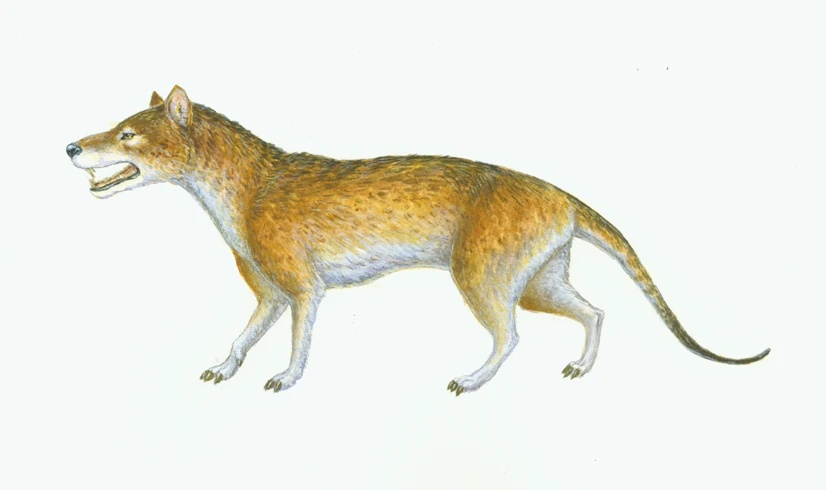 Mesonyx | Dinopedia | Fandom