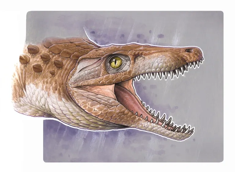 Burkesuchus | Dinopedia | Fandom