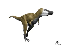 Nanotyrannus | Dinopedia | Fandom