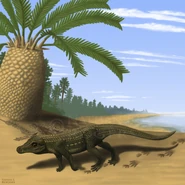 Protosuchus | Dinopedia | Fandom