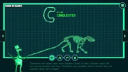 Cimolestes | Dinopedia | Fandom
