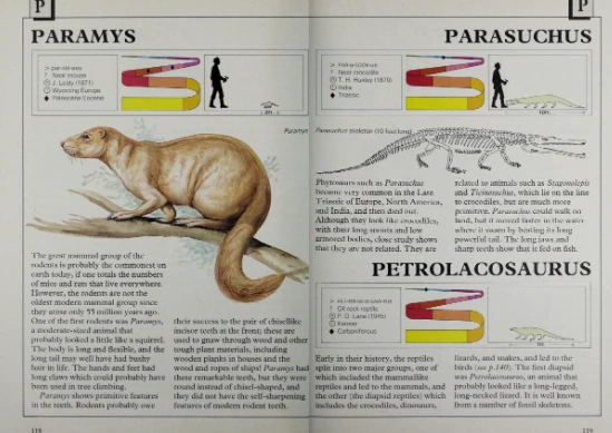 Paramys | Dinopedia | Fandom