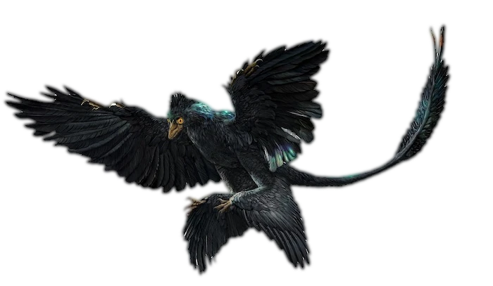 Avisaurus | Dinopedia | Fandom