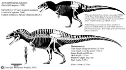 Acrocanthosaurus | Dinopedia | Fandom