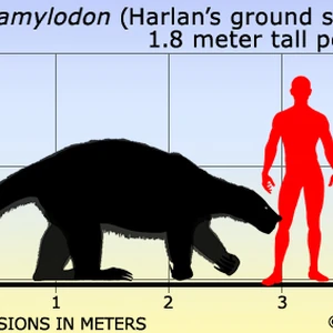 Discuss Everything About Dinopedia | Fandom