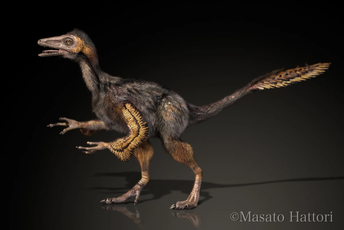 Yixianosaurus | Dinopedia | Fandom