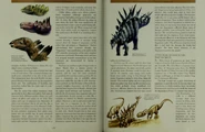 Huayangosaurus | Dinopedia | Fandom
