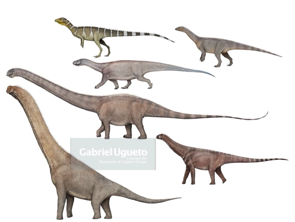 Zby | Dinopedia | Fandom