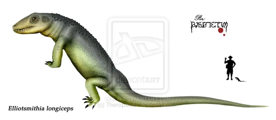 Varanopidae | Dinopedia | Fandom