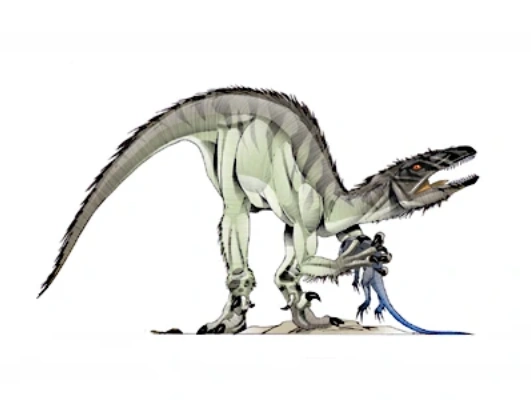 Adasaurus | Dinopedia | Fandom