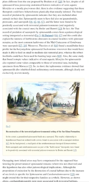 Siamosaurus | Dinopedia | Fandom