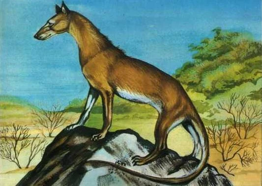 Tritemnodon | Dinopedia | Fandom