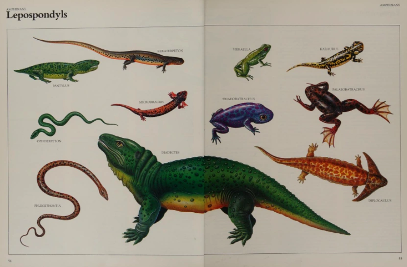 Karaurus | Dinopedia | Fandom