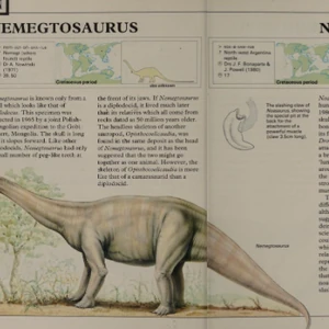 Discuss Everything About Dinopedia | Fandom
