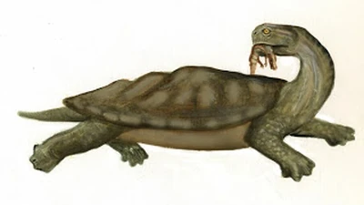 Discuss Everything About Dinopedia | Fandom