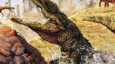 Discuss Everything About Dinopedia | Fandom