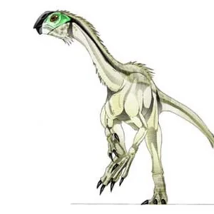 Discuss Everything About Dinopedia | Fandom