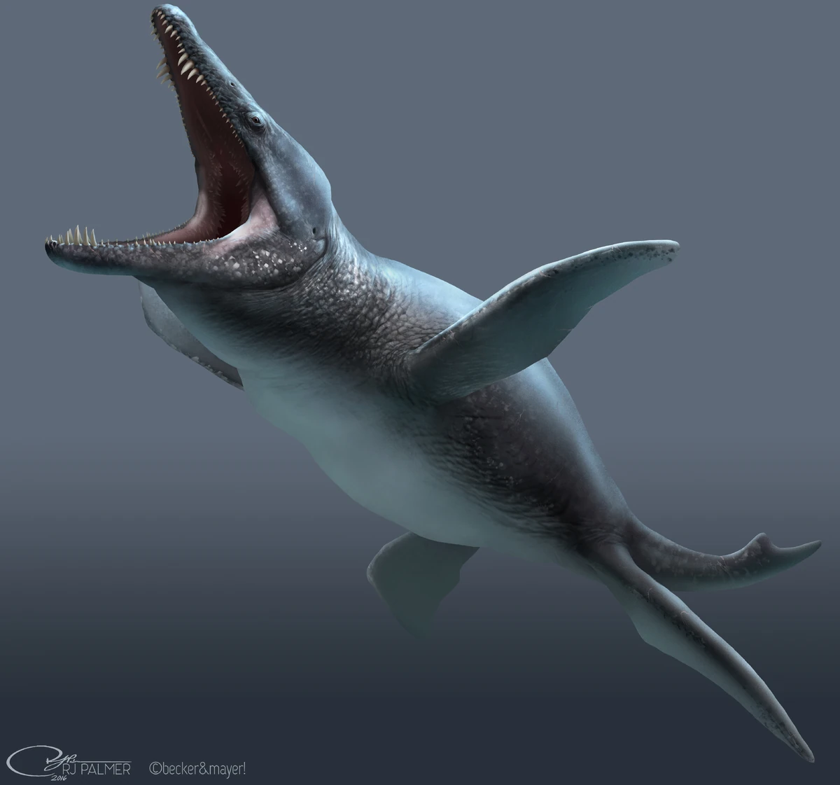 Liopleurodon | Dinopedia | Fandom