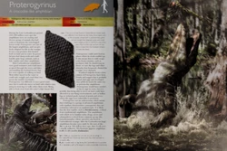 proterogyrinus length